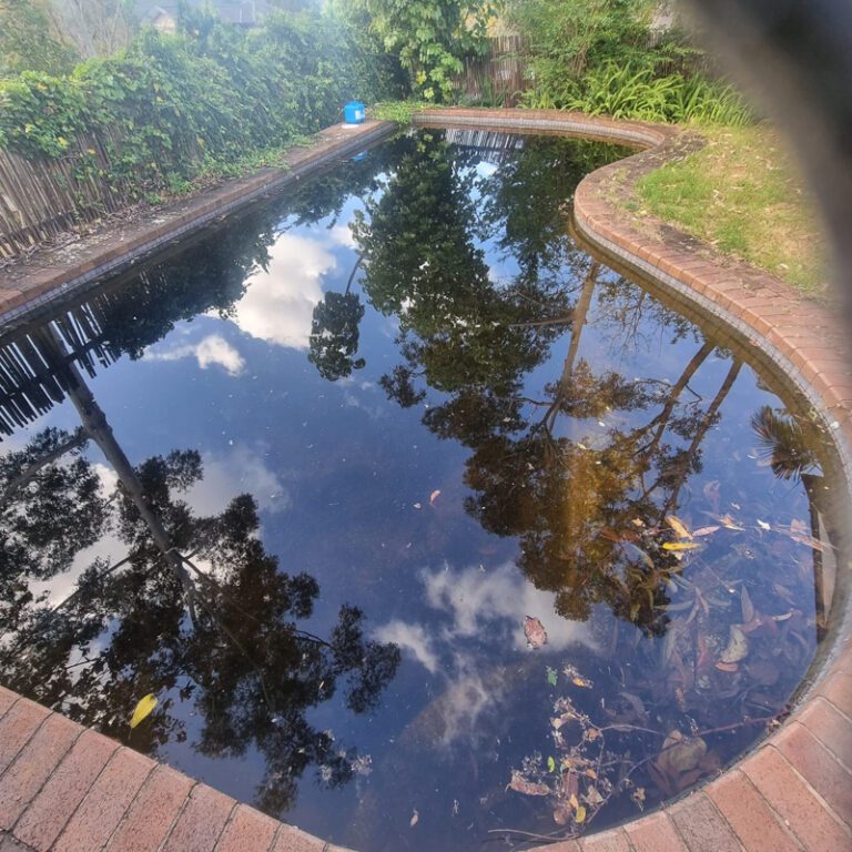 How to restore a green pool - Tongarra Pools